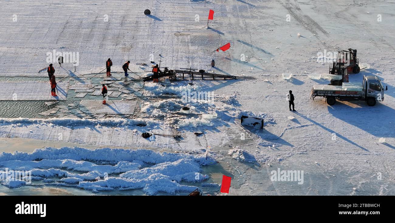 Aerial photo shows workers cutting ice lines to mine ice on Songhua ...