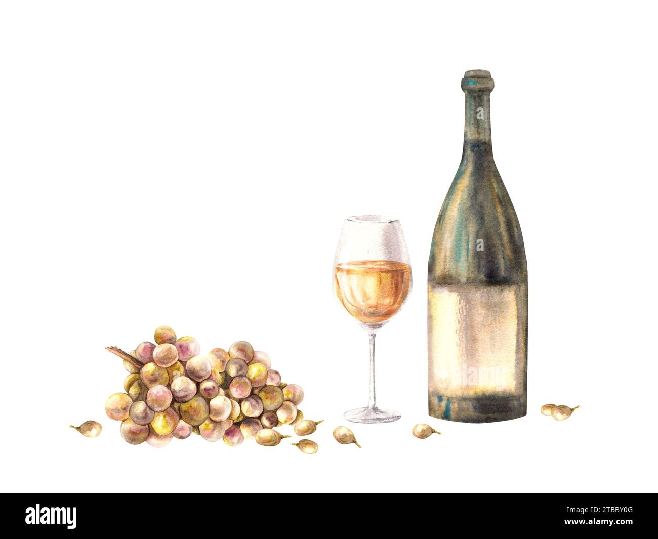 Prosecco grapes the vine Cut Out Stock Images & Pictures - Alamy