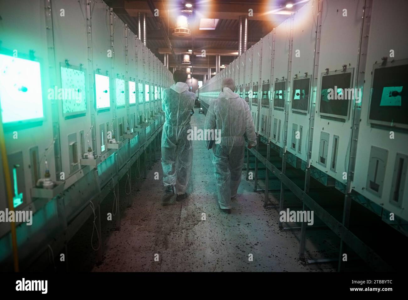 Northern Europe's largest insect factory - Enorm Biofactory, which will ...