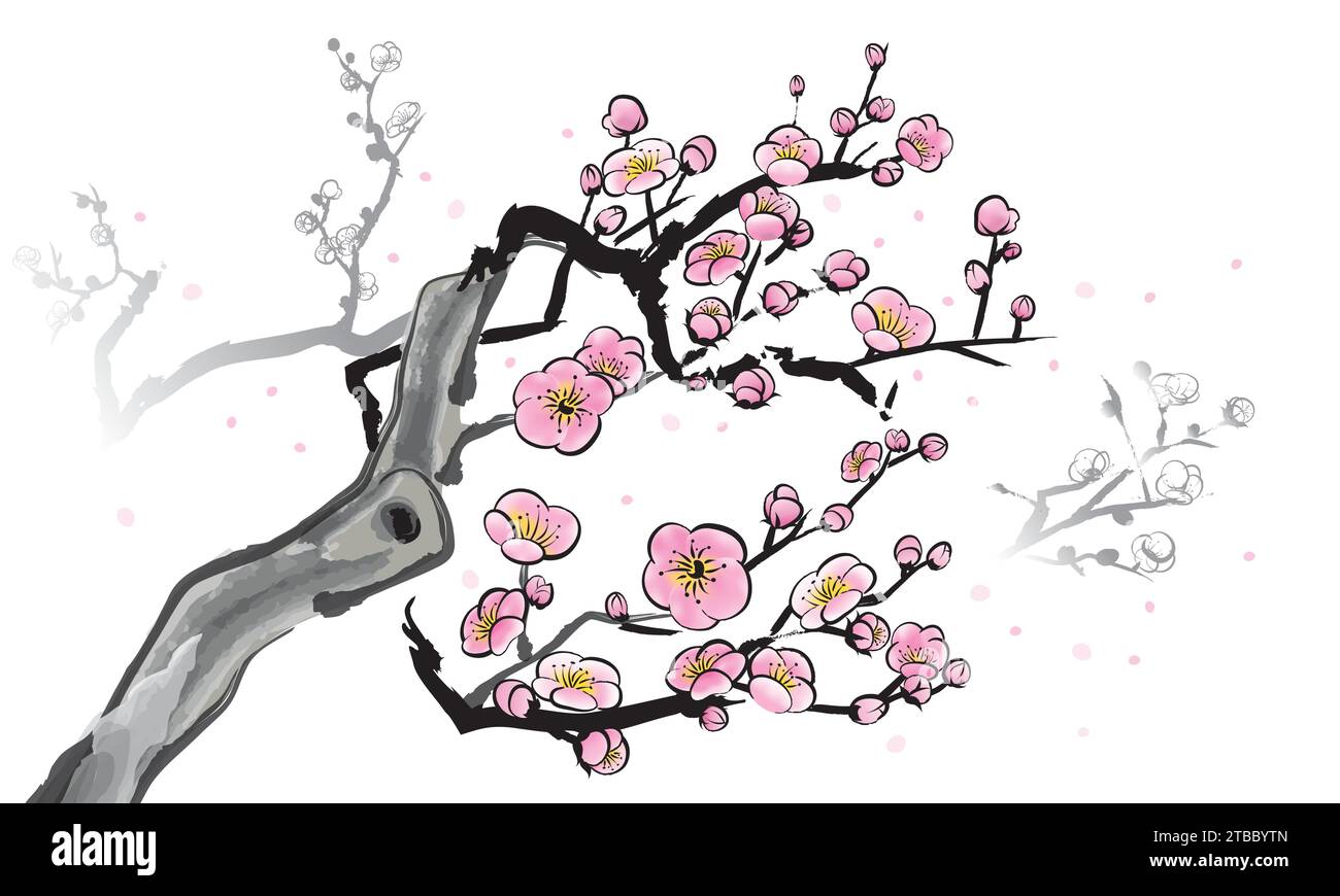 Plum blossom drawing hi-res stock photography and images - Alamy