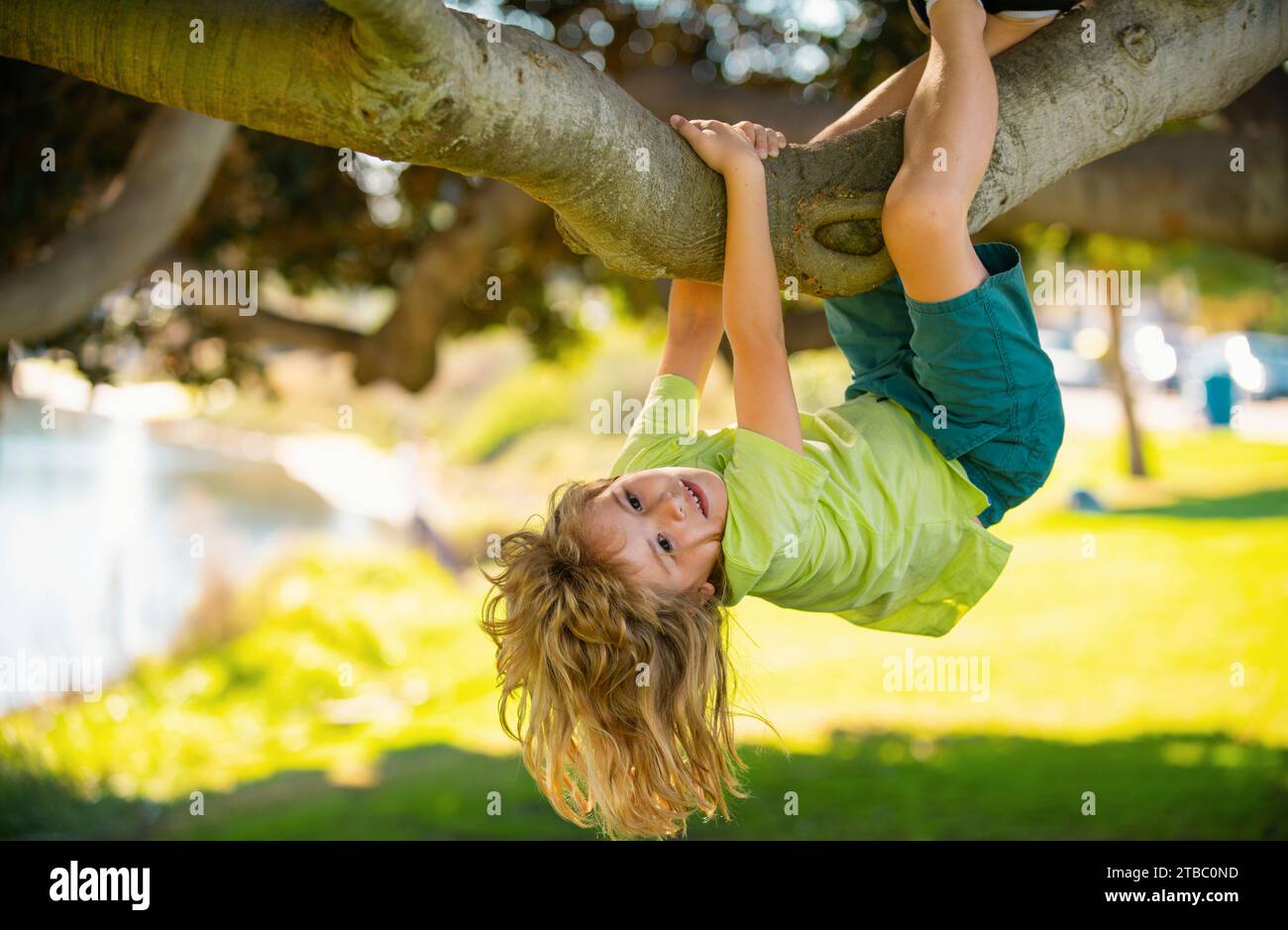 Child on a tree branch. Child climbing in adventure activity park ...