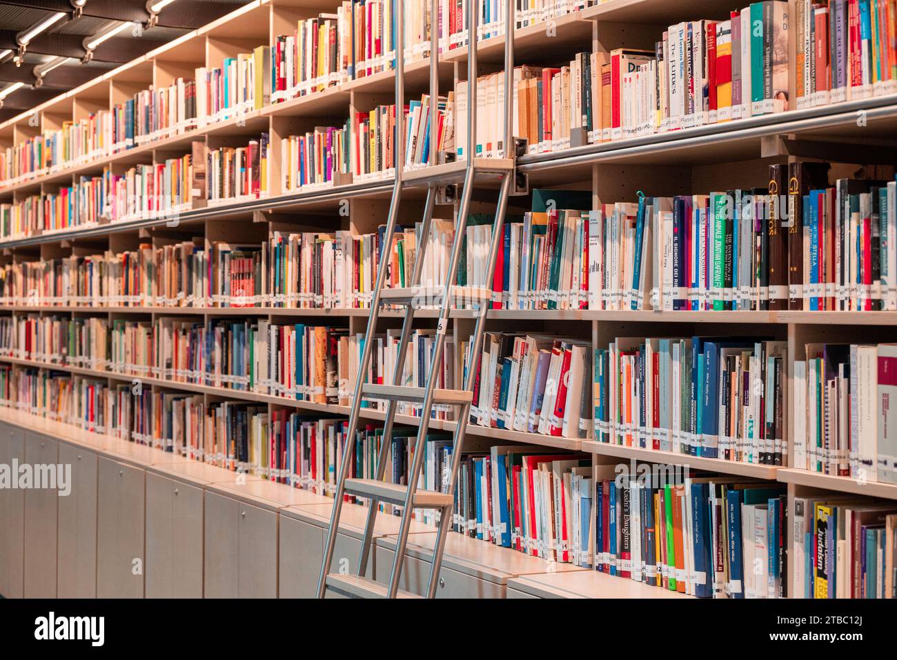 Contemporary Jewish documentation center foundation. Modern library ...