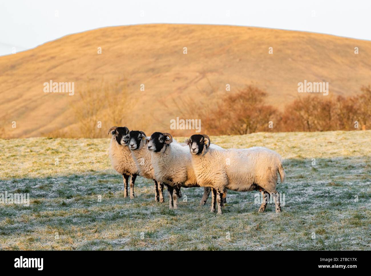 December lancashire winter landscape hi-res stock photography and ...