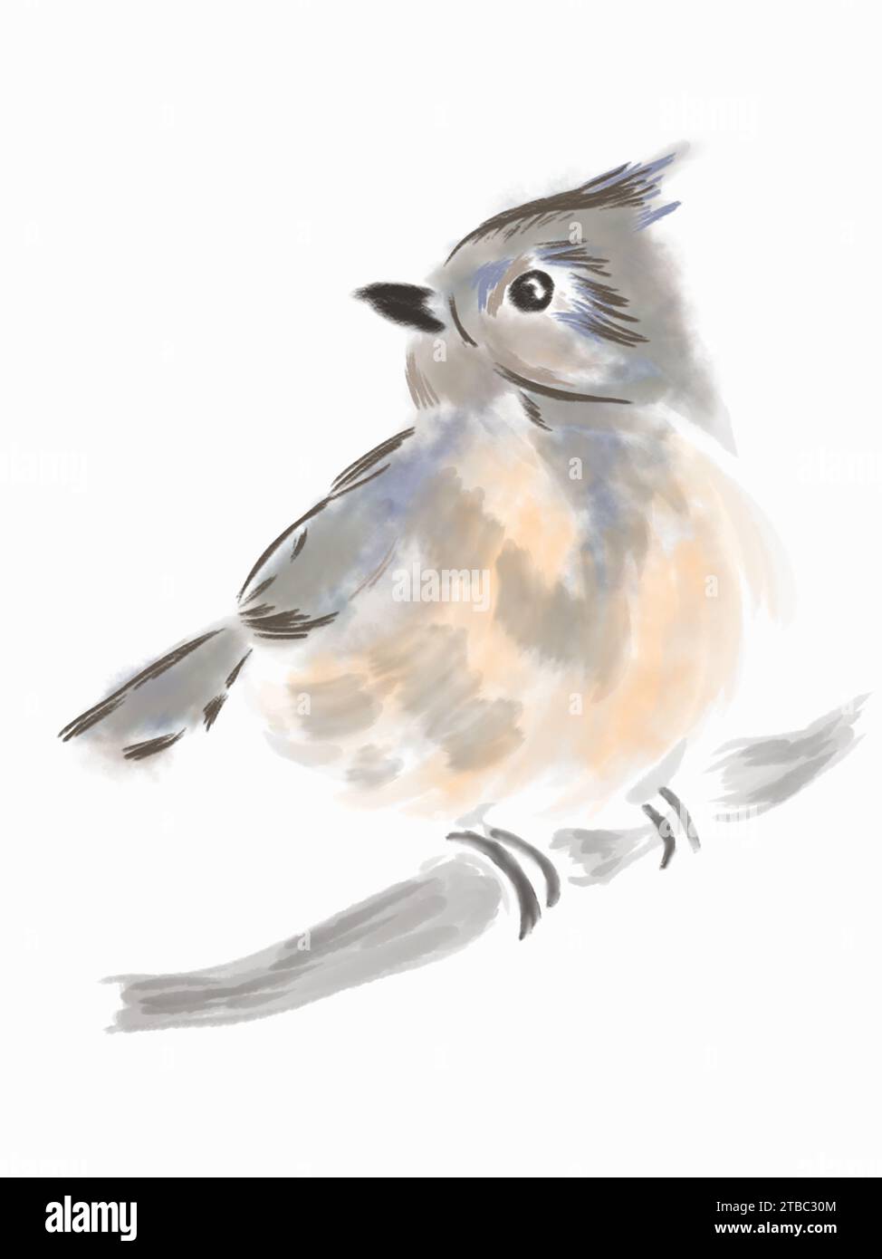 Simple sketch of a sparrow in minimal colors. Color illustration for ...