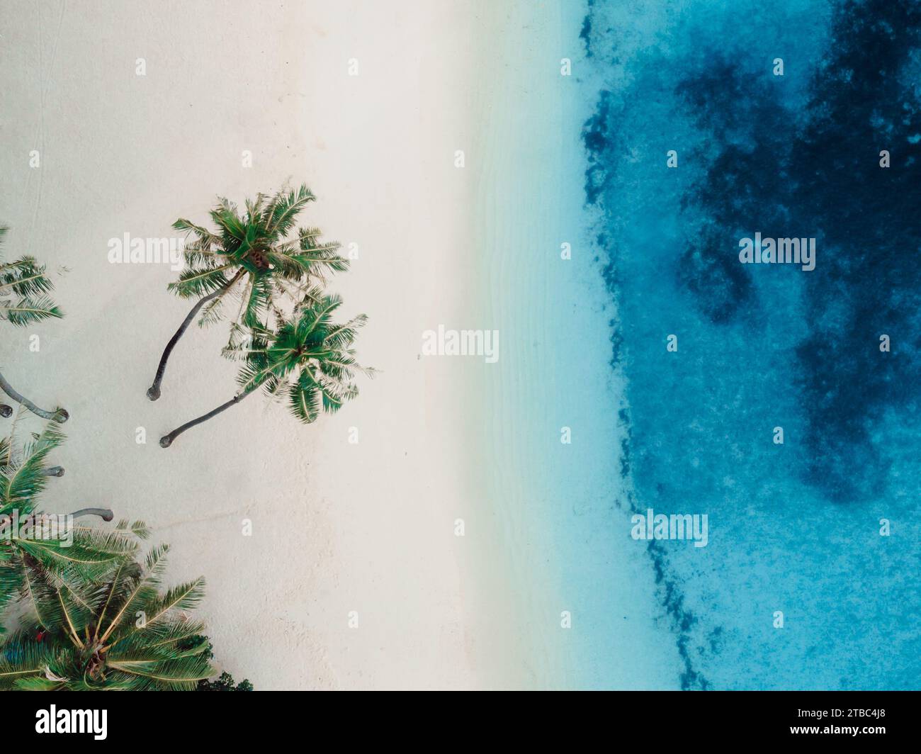Top down aerial drone image of shoreline in Maldives. Bright Blue ...