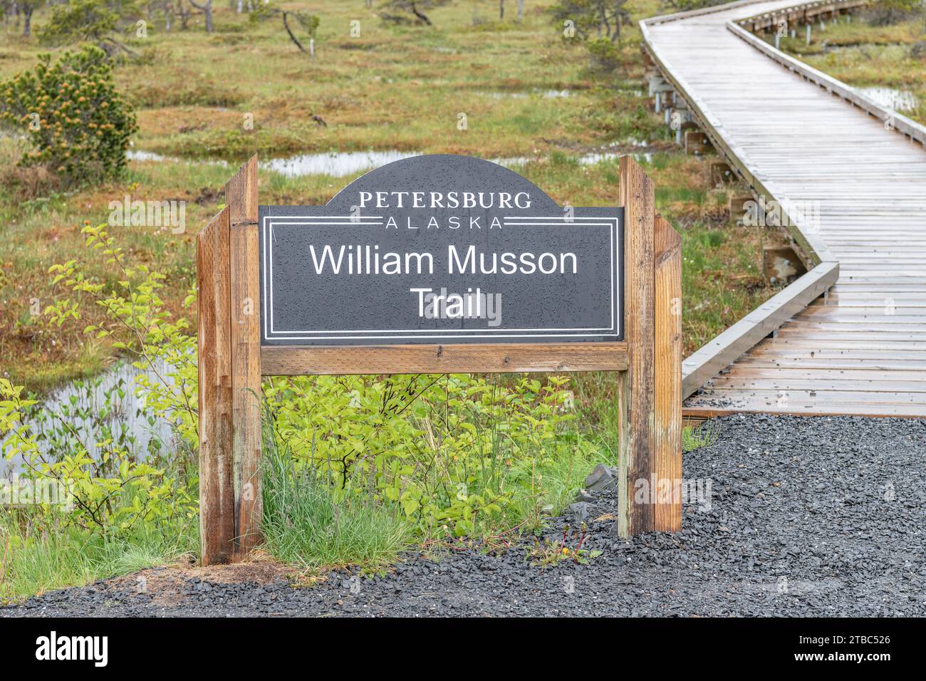 William Musson Trail sign across the Petersburg muskeg (Peat Bog ...