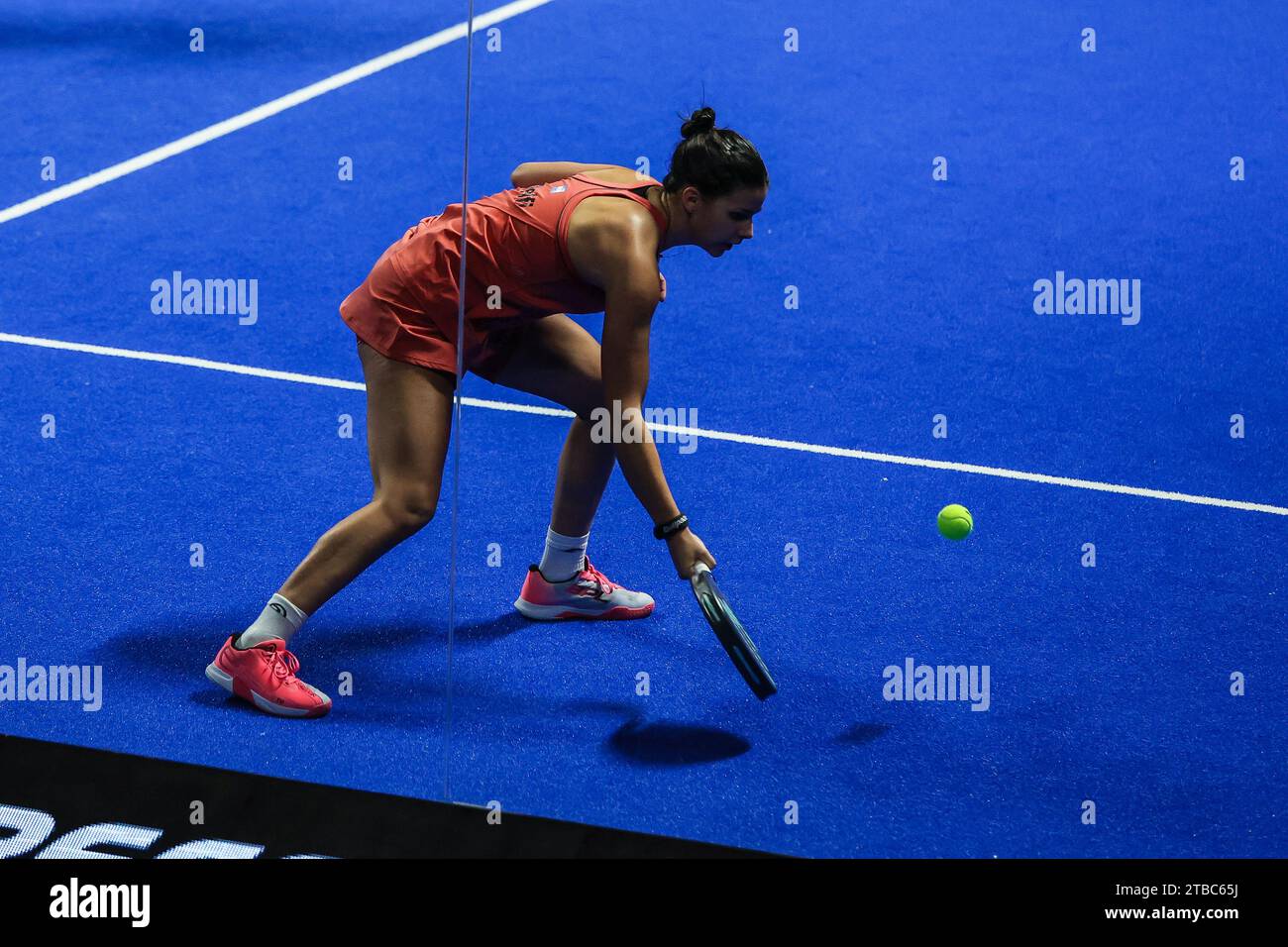 Brea senesi delfina hi-res stock photography and images - Alamy