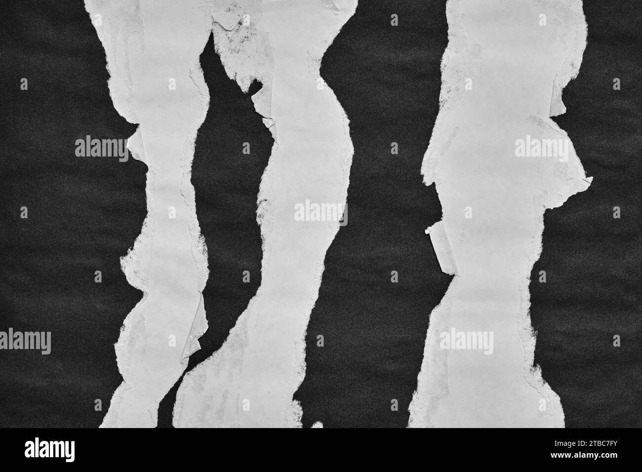 Black and White Torn Paper Collage Style, Ripped Paper Effect, Texture ...