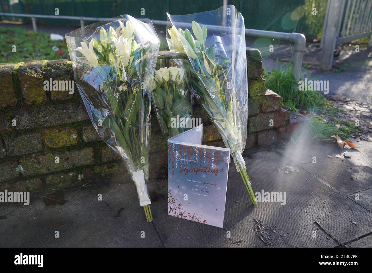 A card and flowers left near to the scene at Vine Close, Hackney, east ...