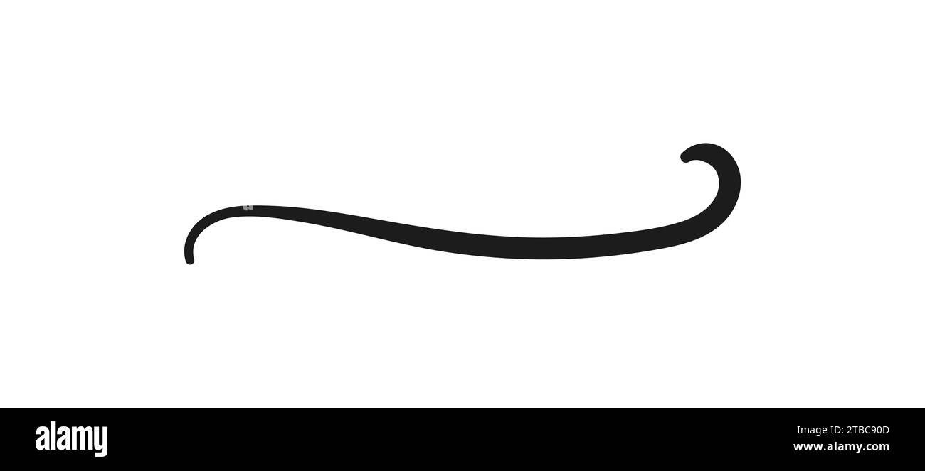 Swoosh and swoops underline typography tail shape. Brush drawn thick ...