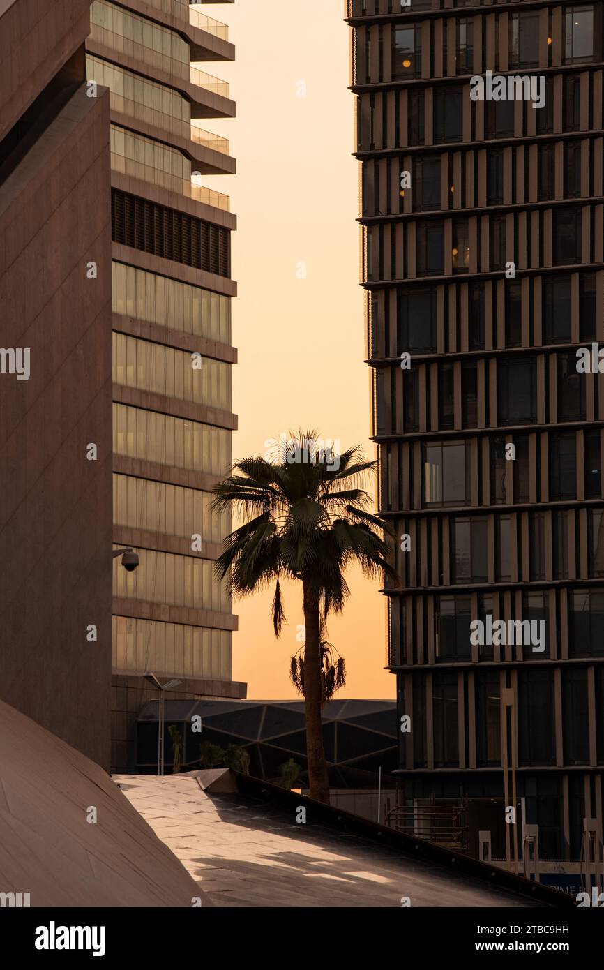 A view of Riyadh's King Abdullah Financial District, Saudi Arabia on ...
