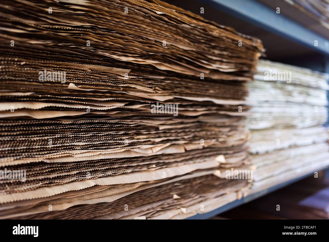 The final wooden and cardboard products are neatly organized within a ...