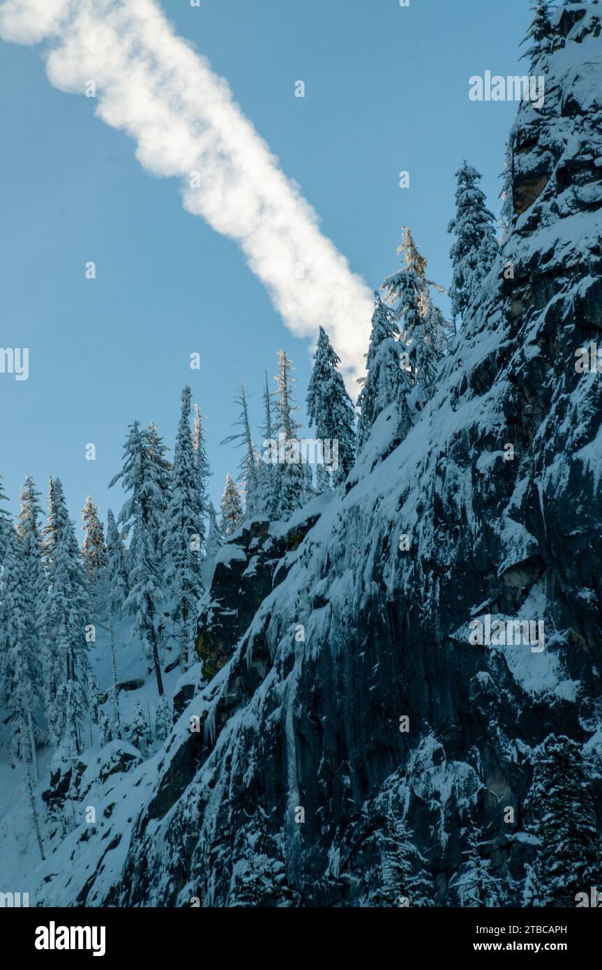 Telephoto shot of a group of trees catching the first sunlight of the ...