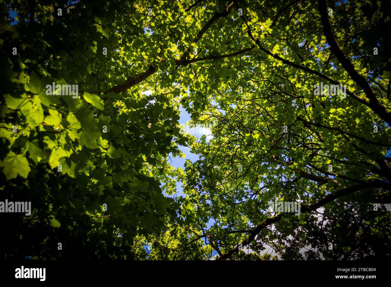 Overhead beams hi-res stock photography and images - Alamy