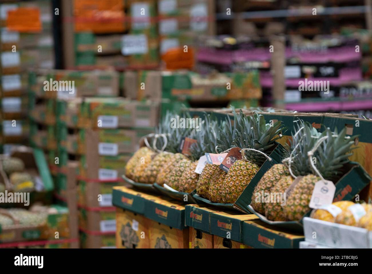 This photograph shows pineapple at the fruits and vegetables of the ...