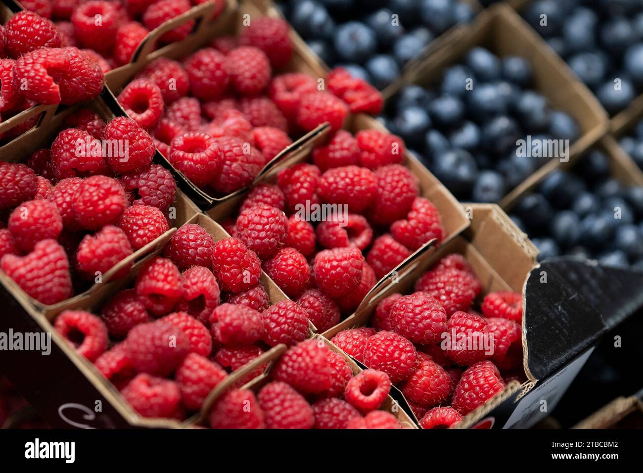 Th century origins hi-res stock photography and images - Alamy