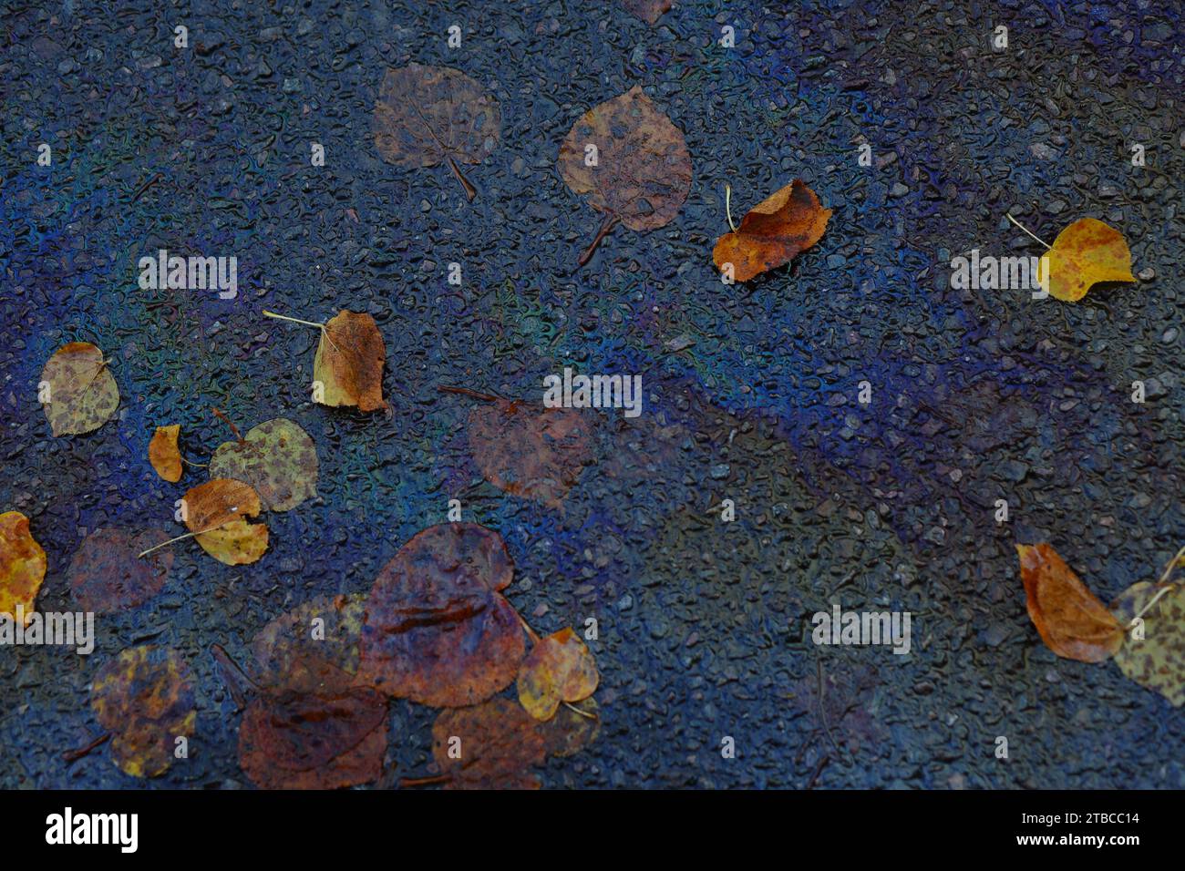 Phasing out oil hi-res stock photography and images - Alamy