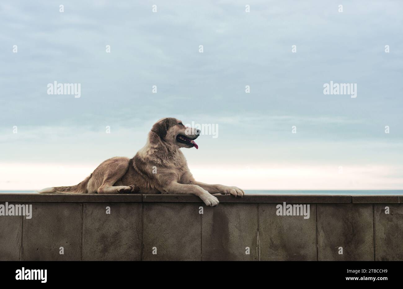 Homeless on embankment hi-res stock photography and images - Alamy