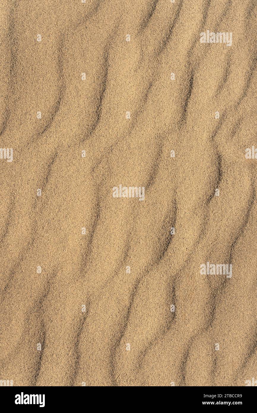 Background of sun-kissed sand of radiant yellow color palette. Top view ...