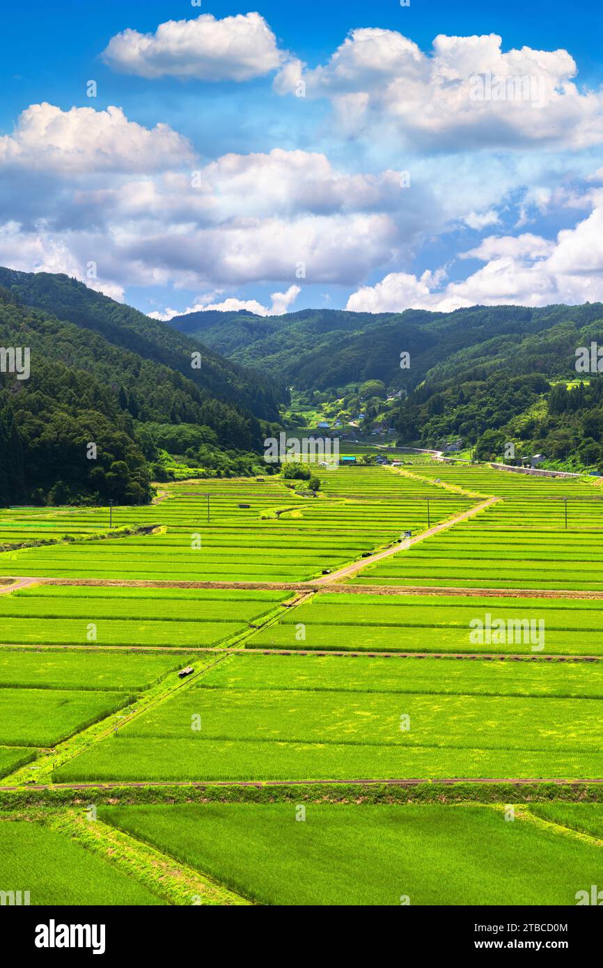 Japanese rice farm hi-res stock photography and images - Alamy
