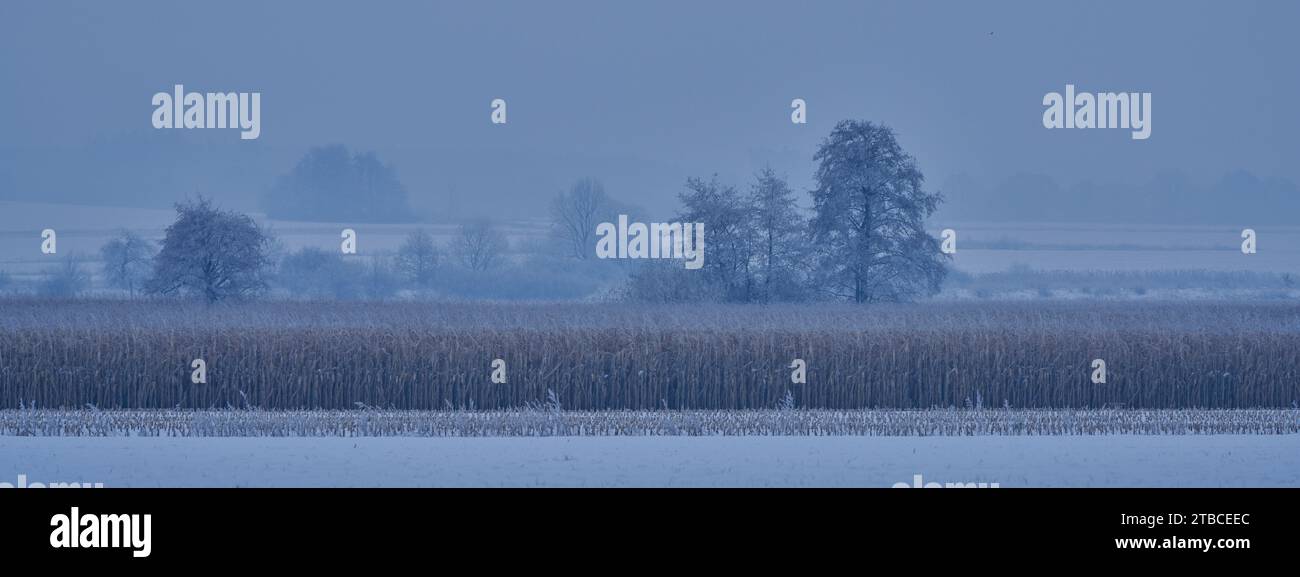 Winter landscape after the first snowfall Stock Photo - Alamy
