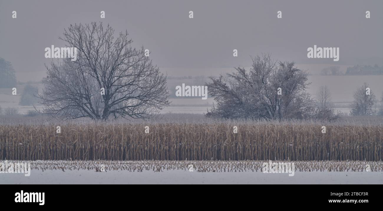 Winter landscape after the first snowfall Stock Photo - Alamy