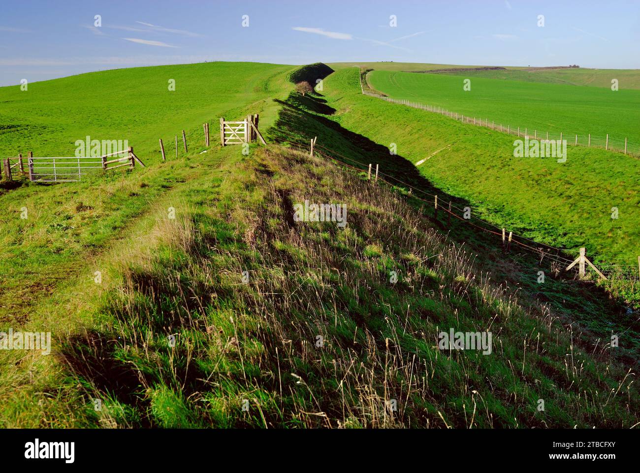 The Wansdyke ancient earthwork on the Wiltshire Downs, looking towards ...