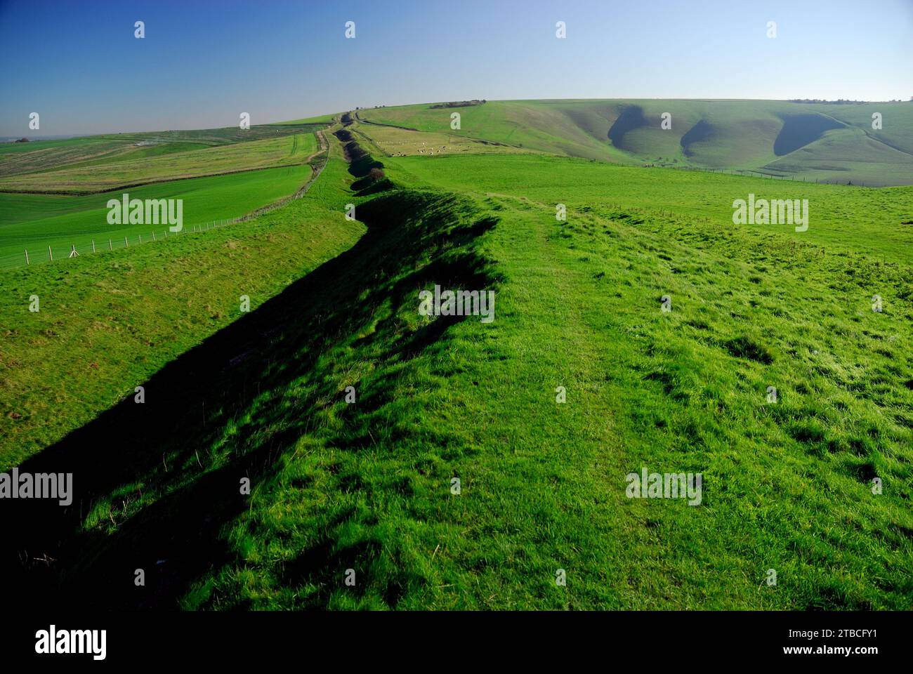 The Wansdyke ancient earthwork on the Wiltshire Downs, looking towards ...