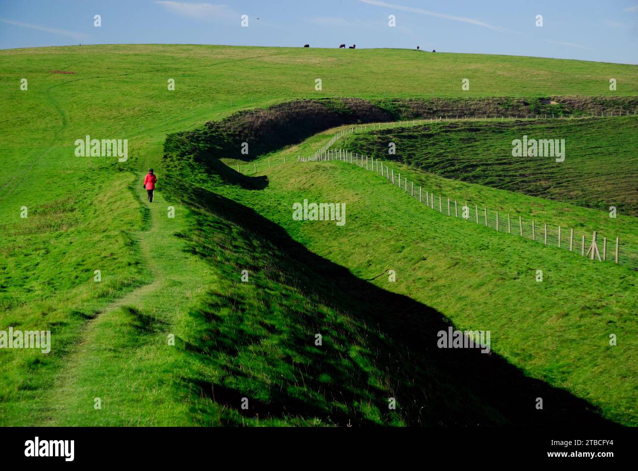 The Wansdyke ancient earthwork on the Wiltshire Downs, looking towards ...