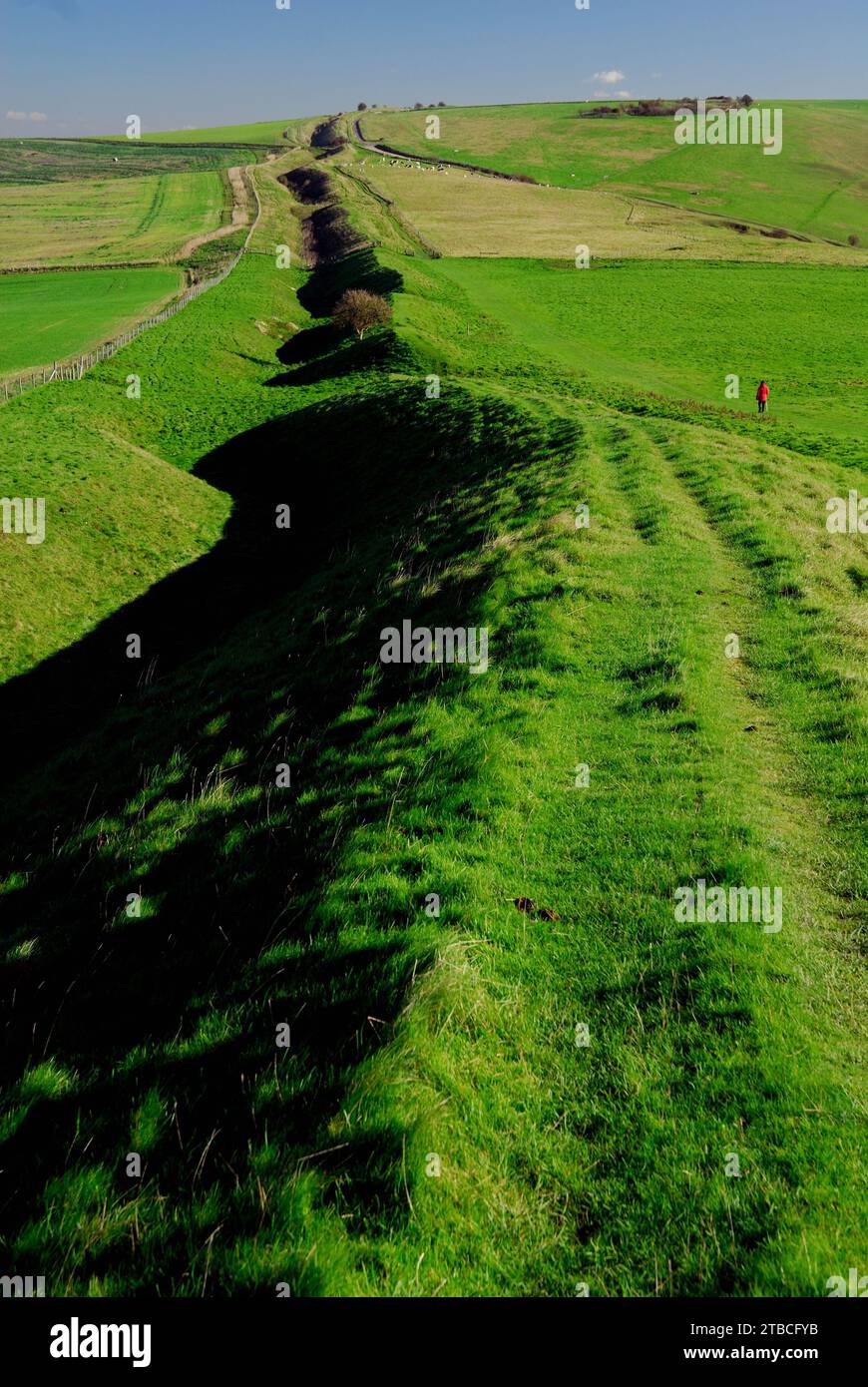 The Wansdyke ancient earthwork on the Wiltshire Downs, looking towards ...