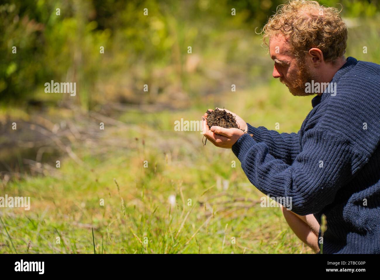 plant and soil agronomy by a farmer in a field on a farm Stock Photo ...