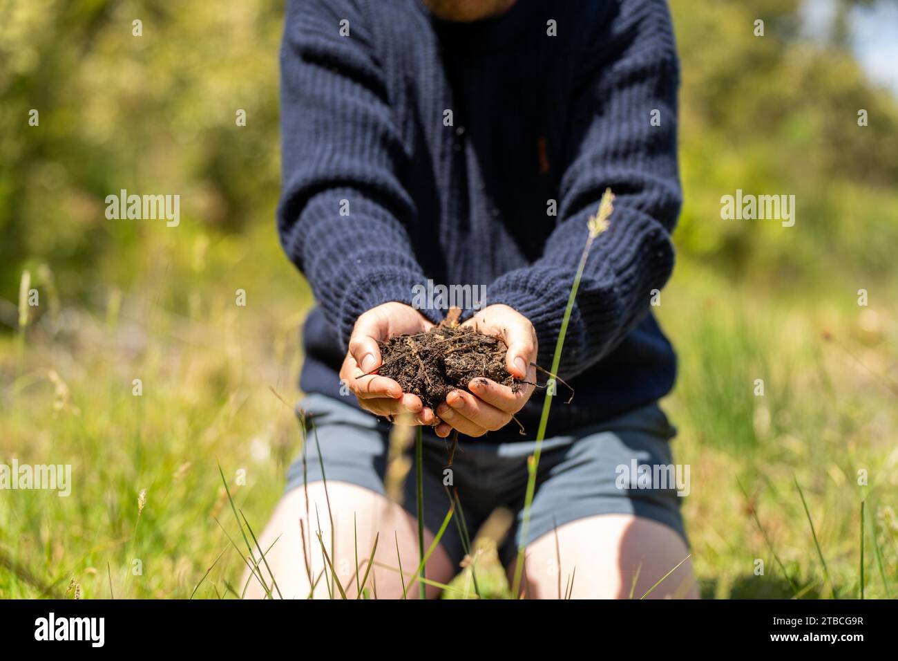 plant and soil agronomy by a farmer in a field on a farm Stock Photo ...