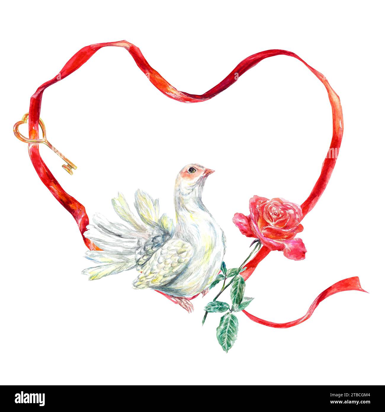 White dove, red ribbon, rose, key. Watercolor illustration isolated on ...