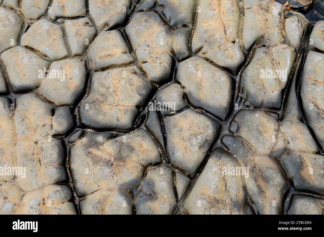 Expansion megapolygons hi-res stock photography and images - Alamy