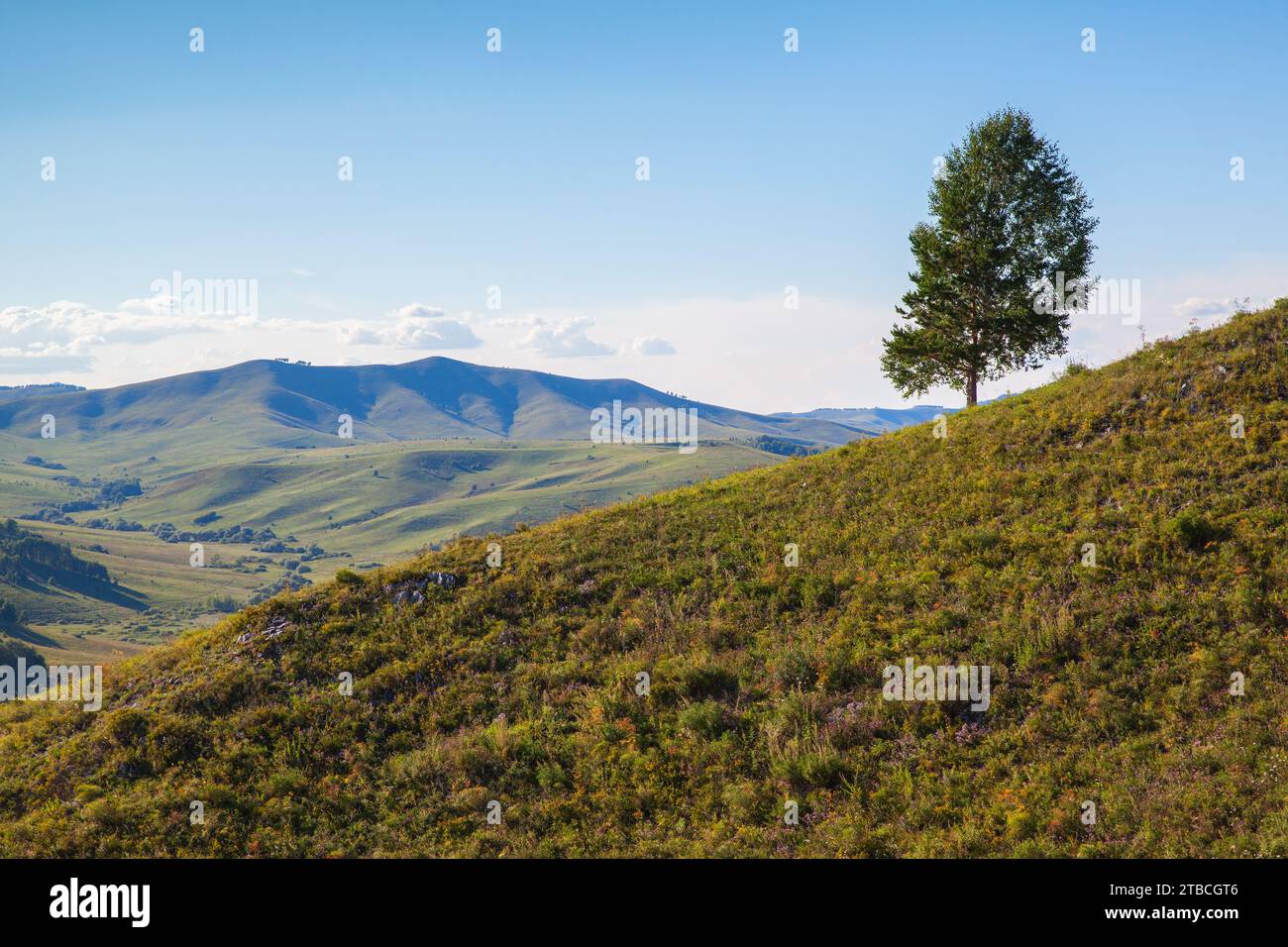 Altai mountains hi-res stock photography and images - Alamy