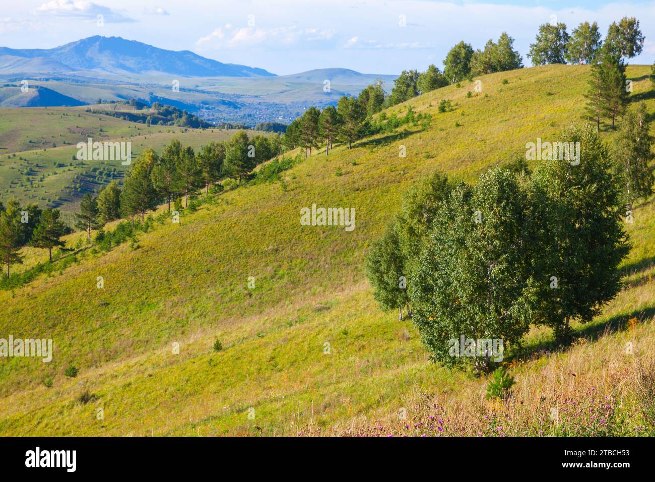 Altai mountains landscape photo taken on a sunny summer day, Katun ...