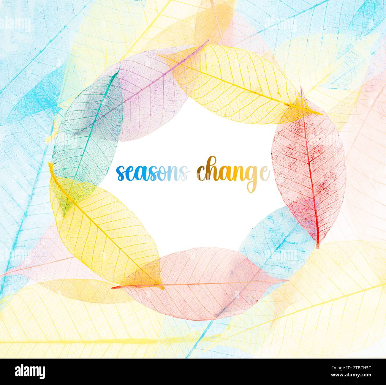 "Seasons change" text with colourful skeleton leaves. "Season of change ...