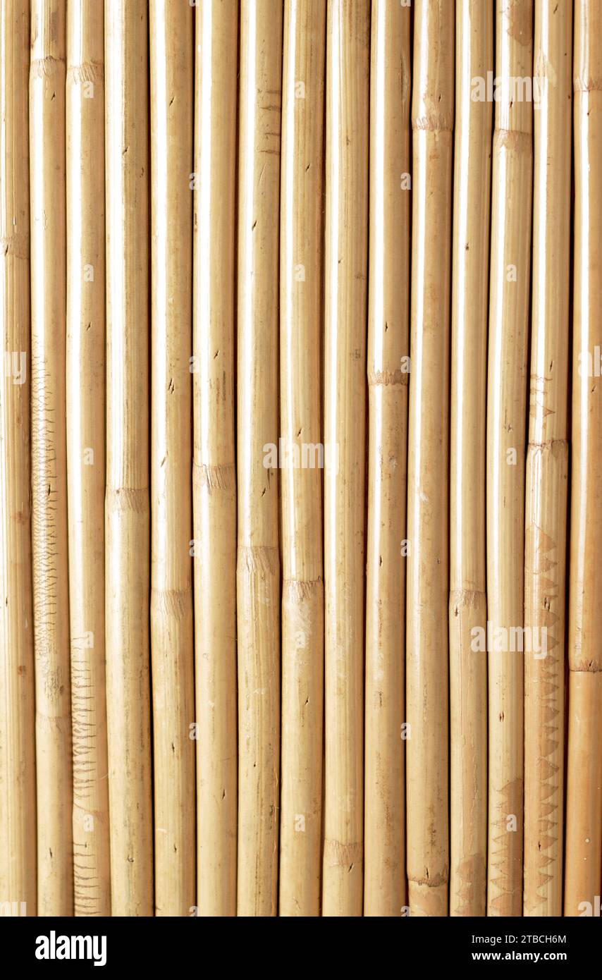 background of old wide bamboo cane sticks vertically Stock Photo - Alamy