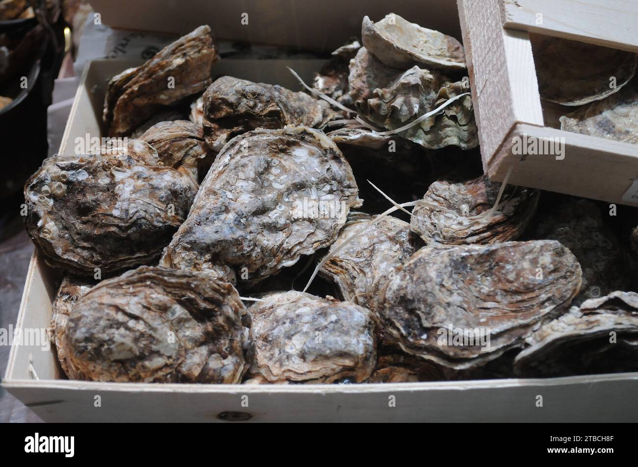 Copenhagen, Denmark /06 December 2023/Oysters Sea food in fish shops in ...