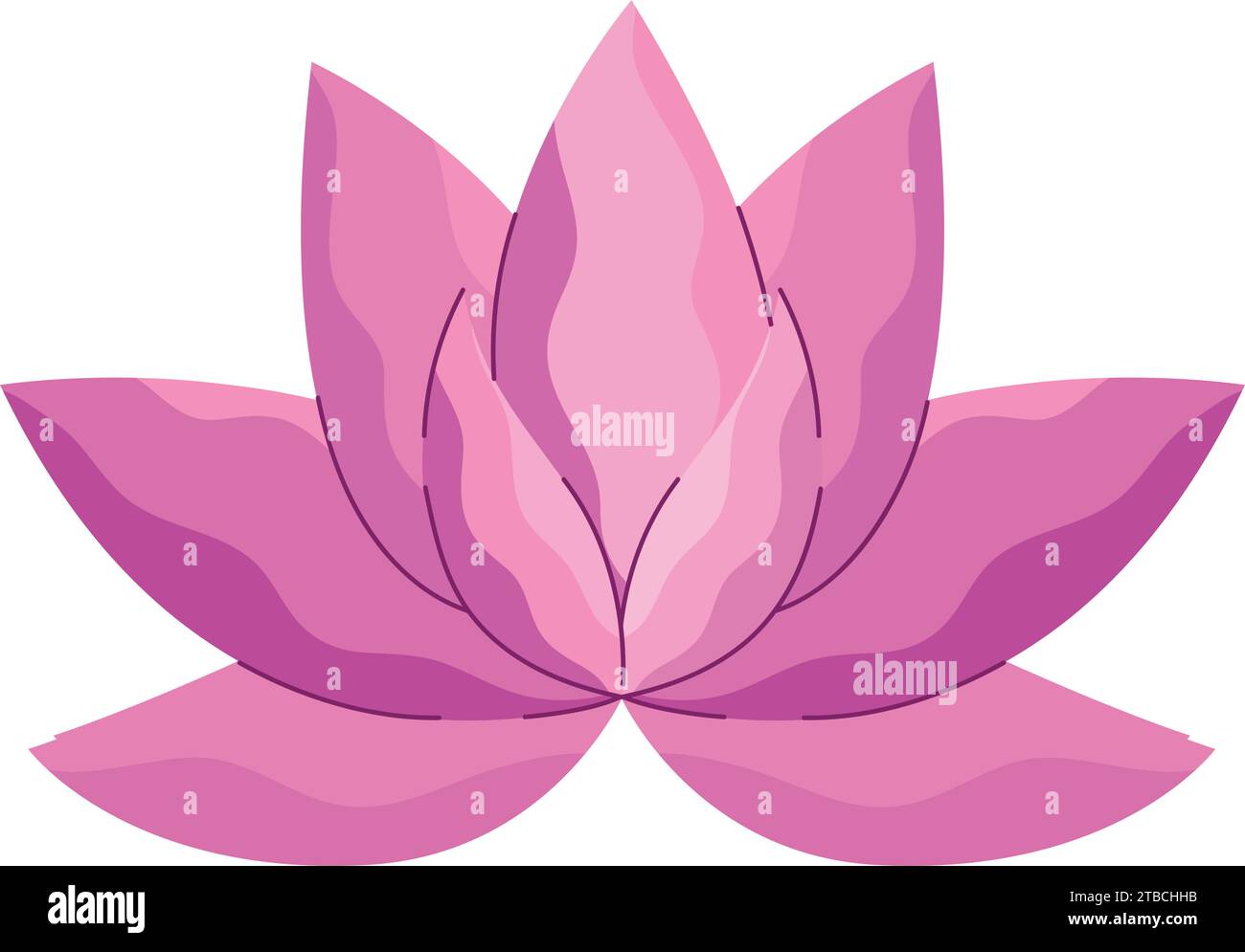 pink lotus flower vector isolated Stock Vector Image & Art - Alamy