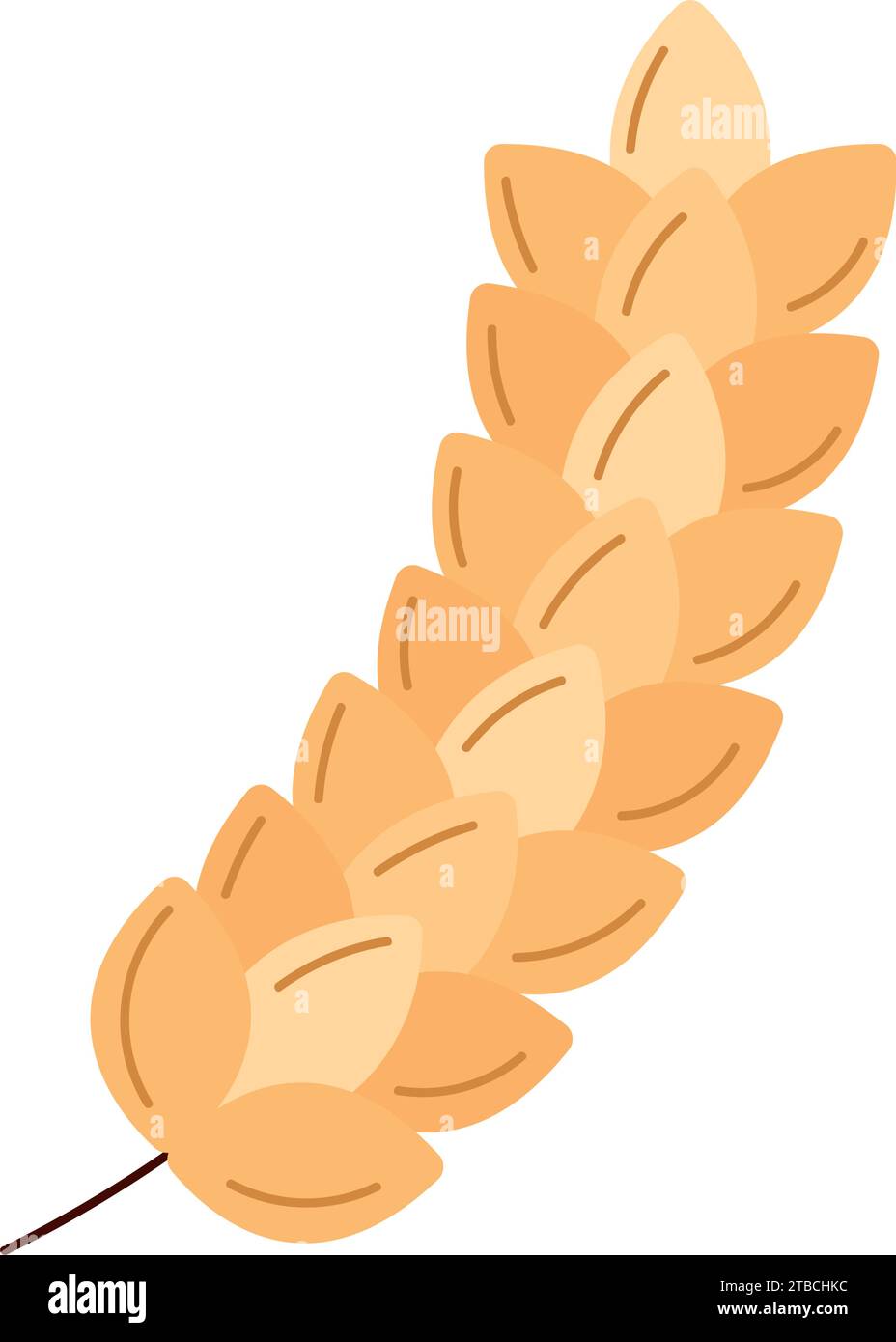 barley branch illustration vector isolated Stock Vector Image & Art - Alamy