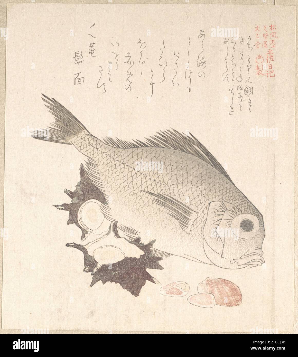 Tai Fish and Top-Shells 1929 by Kubo Shunman Stock Photo - Alamy