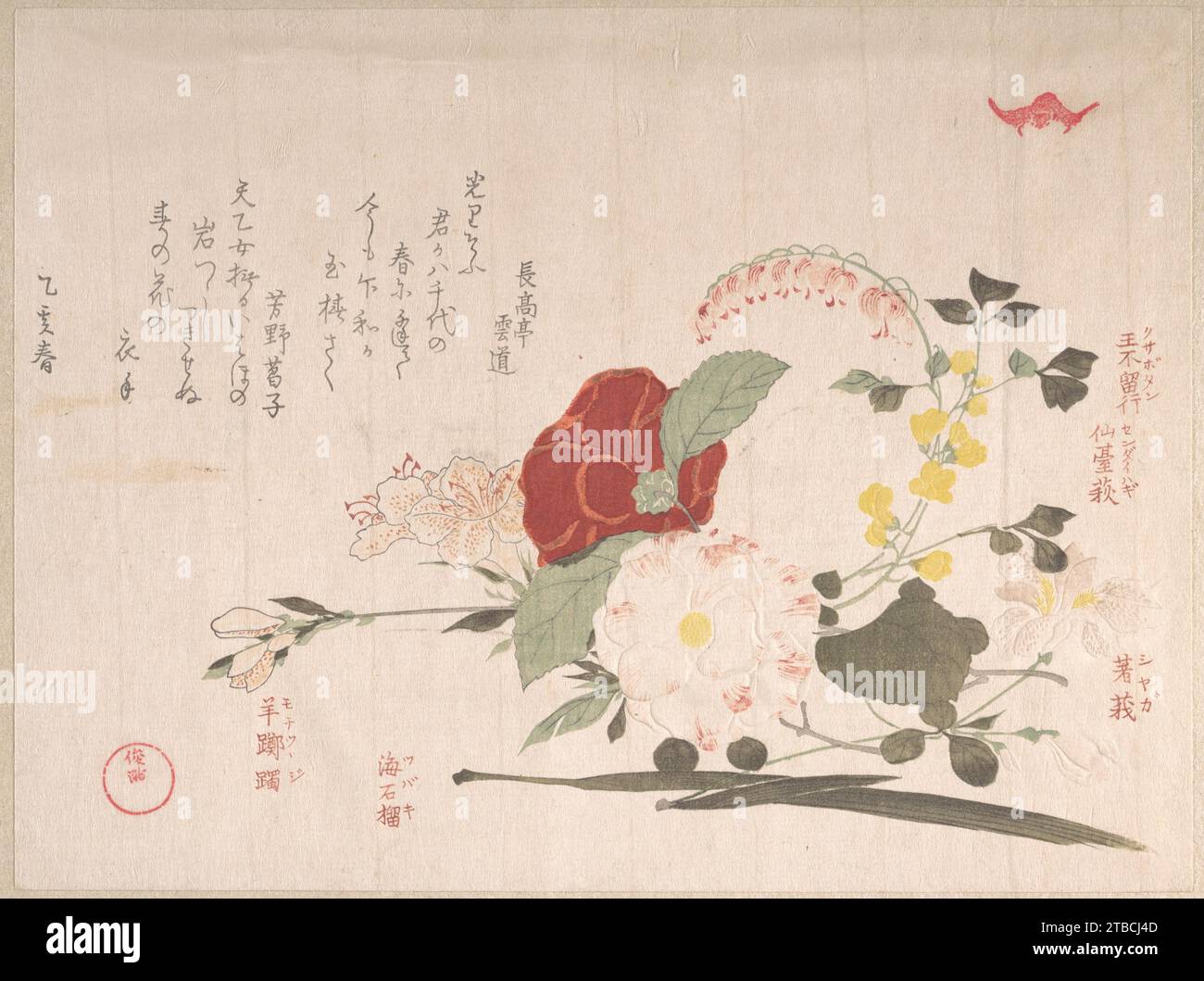 Spring Rain Collection (Harusame shu), vol. 2: Cut Flowers: Clematis ...