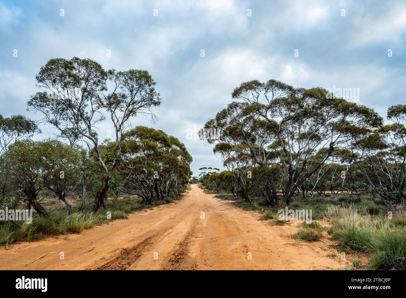 Remote forest hi-res stock photography and images - Alamy