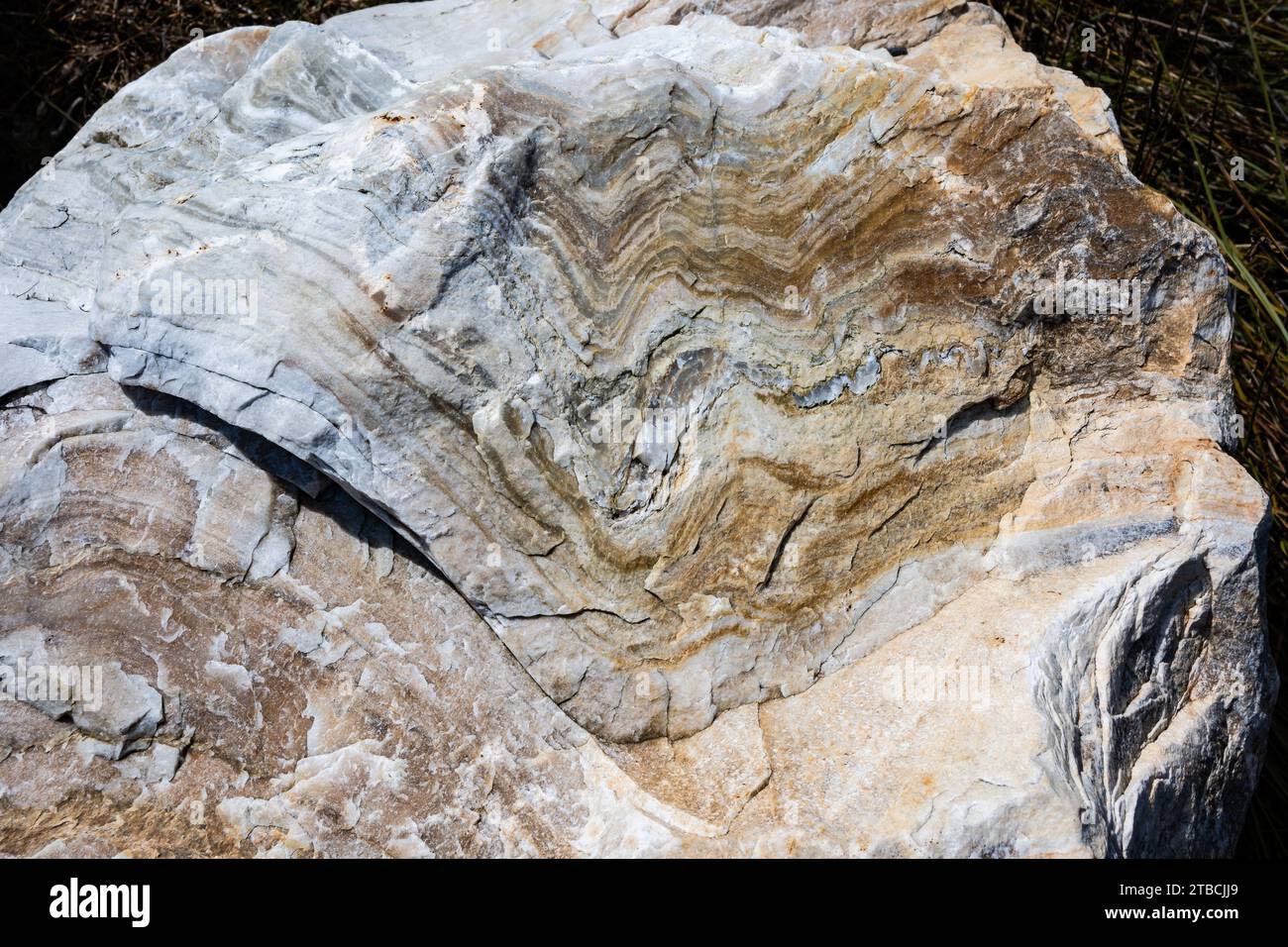 Folded quartzite at the base of mountain. Cradle Mountain-Lake St Clair ...