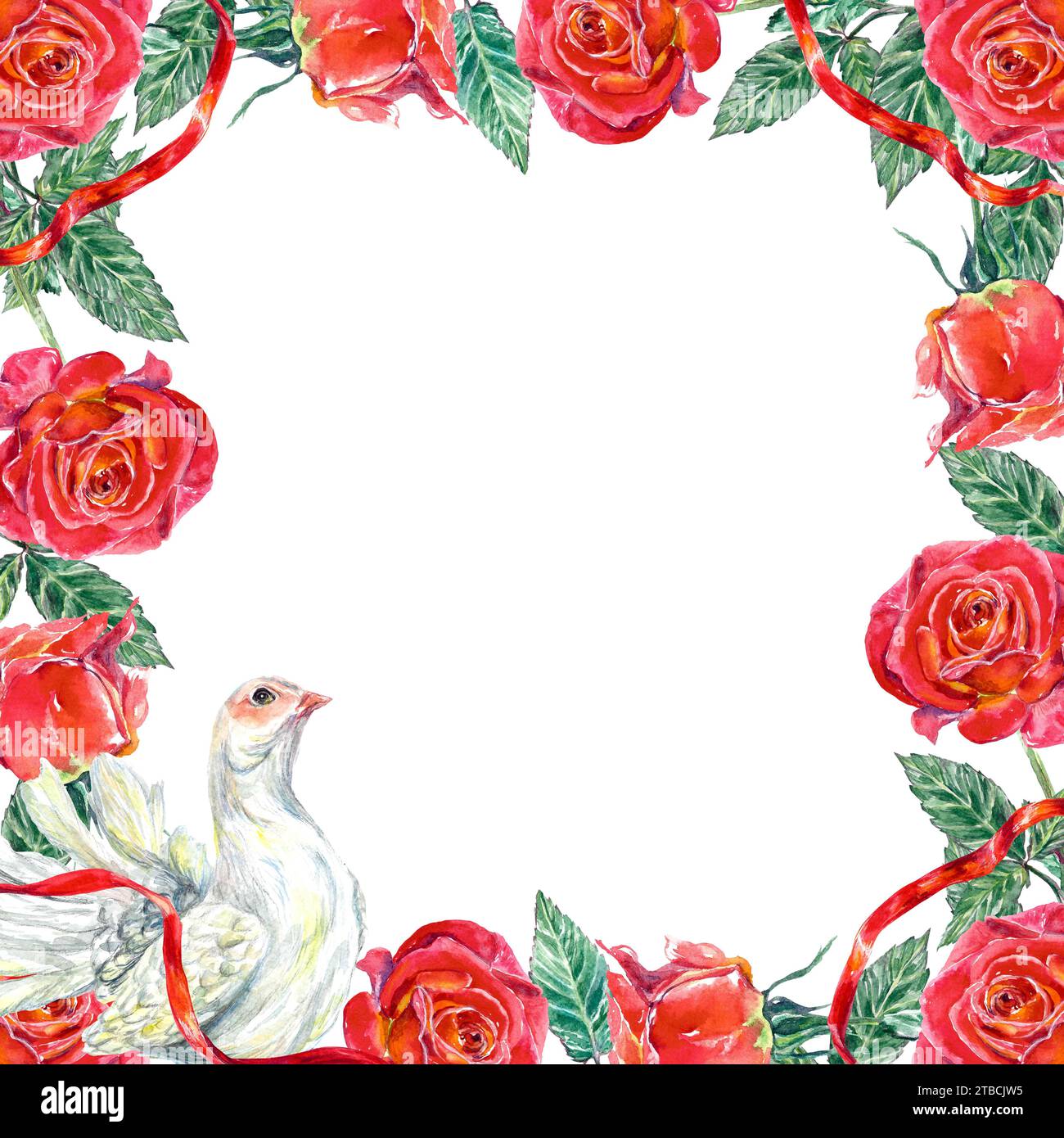 Square frame of red roses, ribbons and dove. Watercolor illustration ...