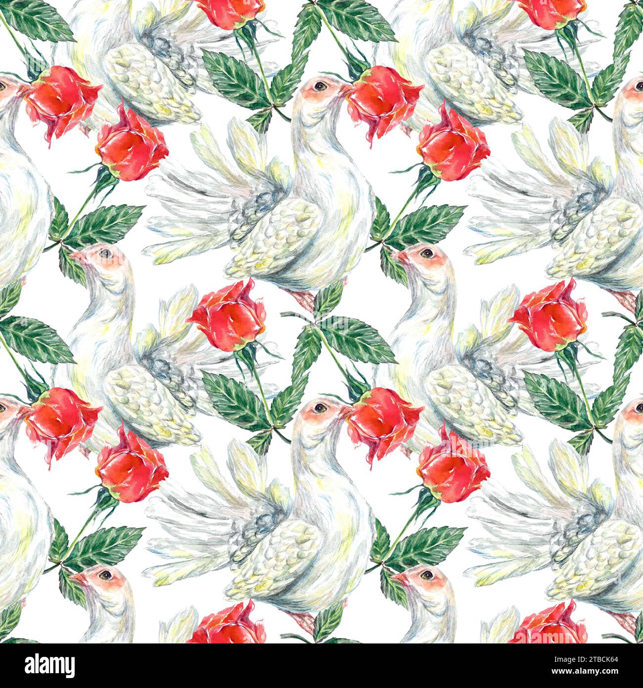 Seamless pattern of red roses and doves. Watercolor illustration ...