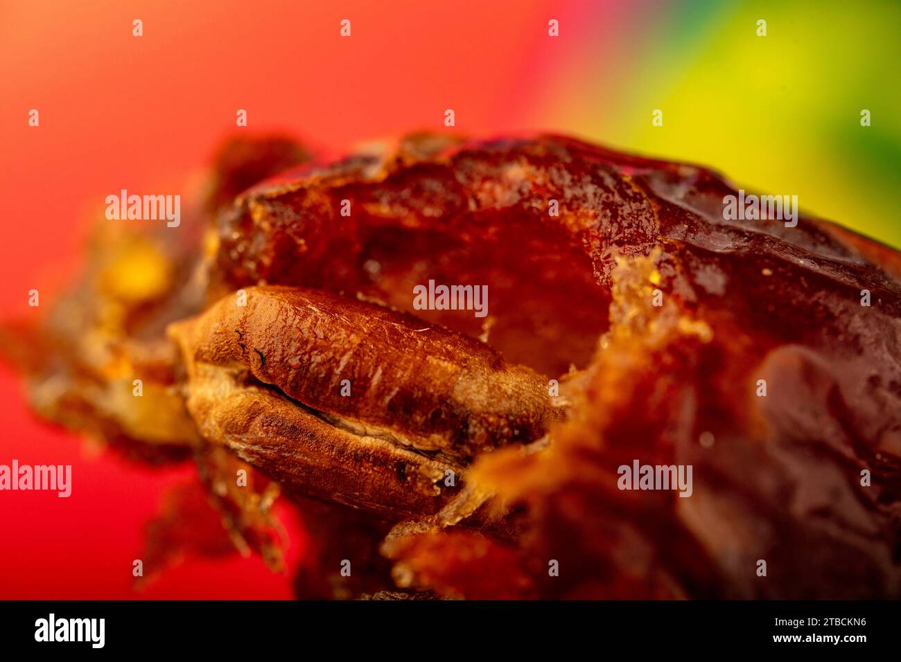 Poster ready semi abstract still life portrait of exotic and succulent ...