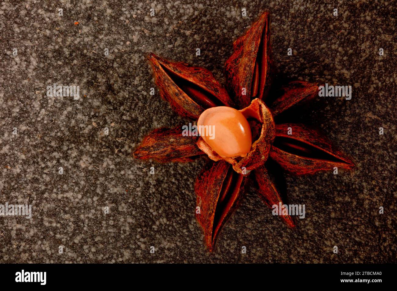 Synthesis of oseltamivir hi-res stock photography and images - Alamy