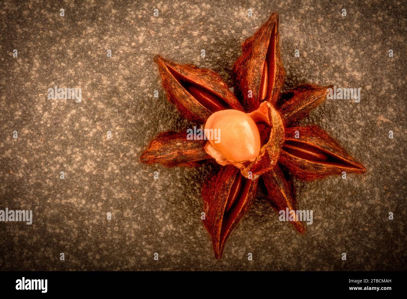Produce shikimic acid hi-res stock photography and images - Alamy